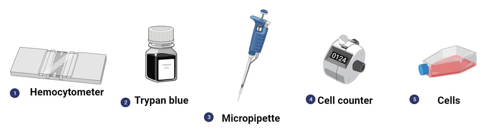 Counting Viable Cells – NC DNA Day Blog