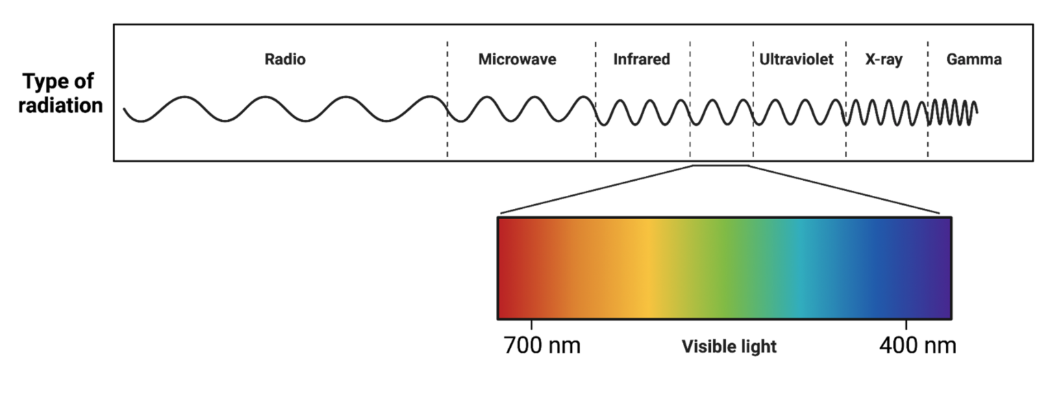 Wavelength NC DNA Day Blog Wavelength NC DNA Day Blog