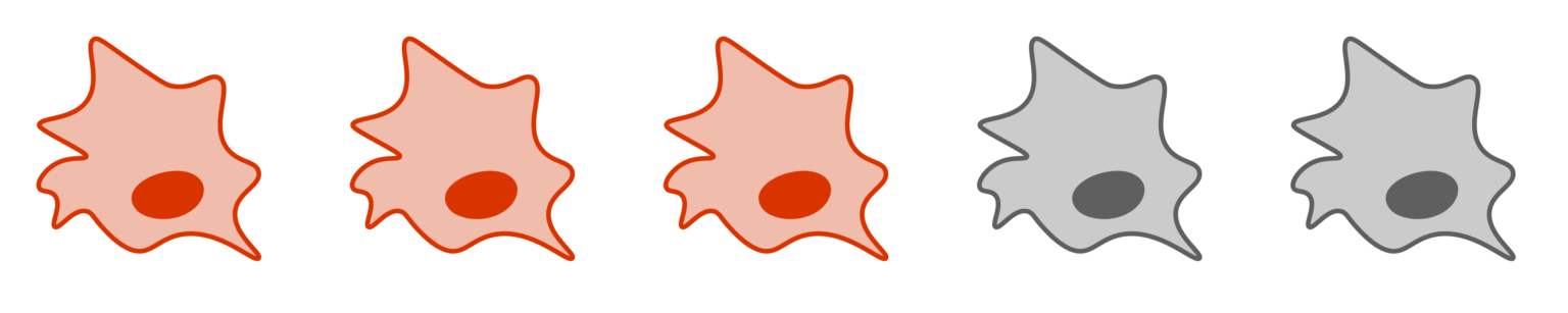 Focus Forming Assay – NC DNA Day Blog