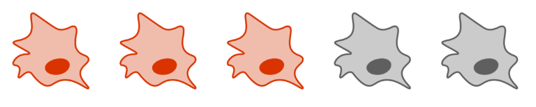 Focus Forming Assay – NC DNA Day Blog