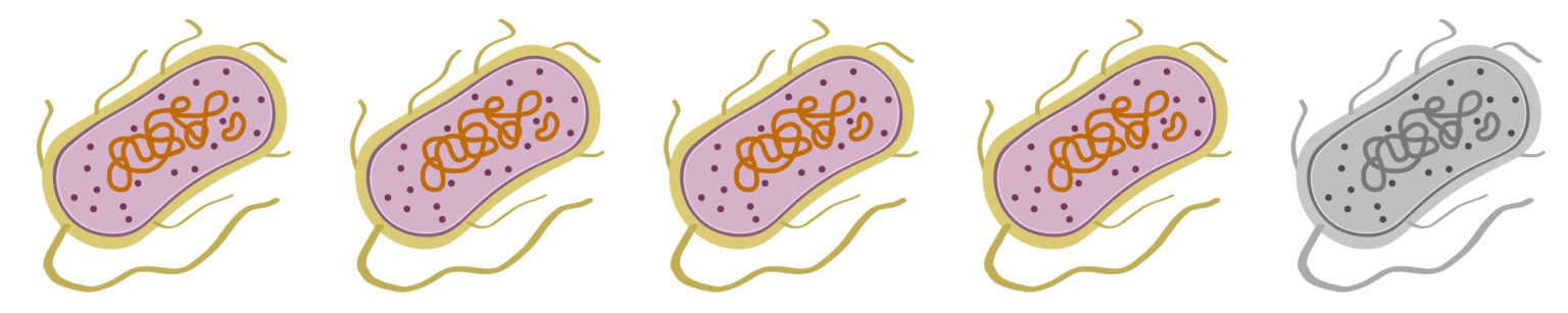 Calculating colony forming units (CFUs) – NC DNA Day Blog