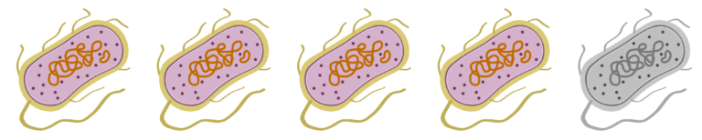 Calculating colony forming units (CFUs) – NC DNA Day Blog