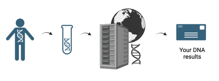 Exploring the Ethics of Genetic Testing – NC DNA Day Blog