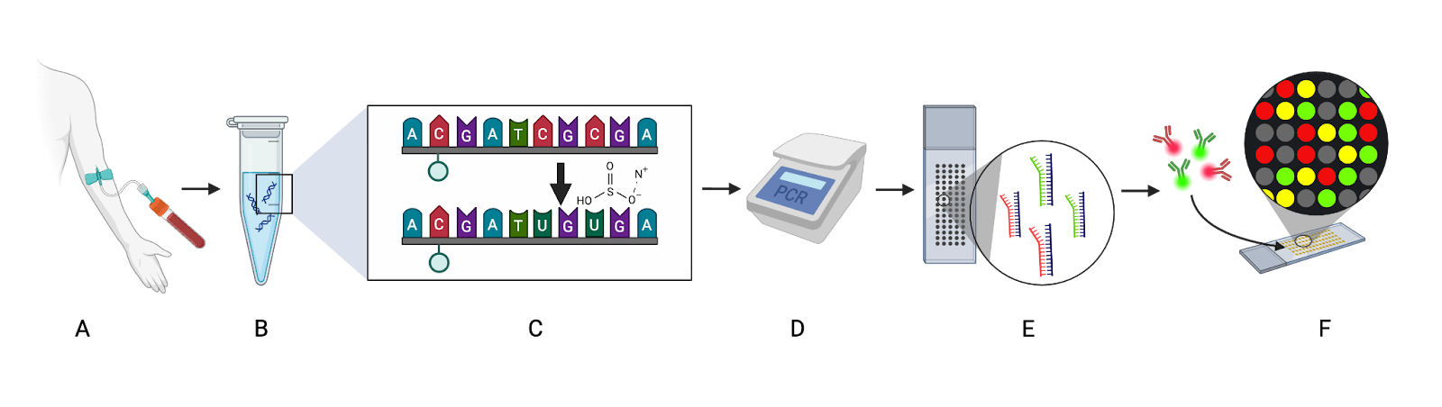 DNA Methylation Microarrays – NC DNA Day Blog
