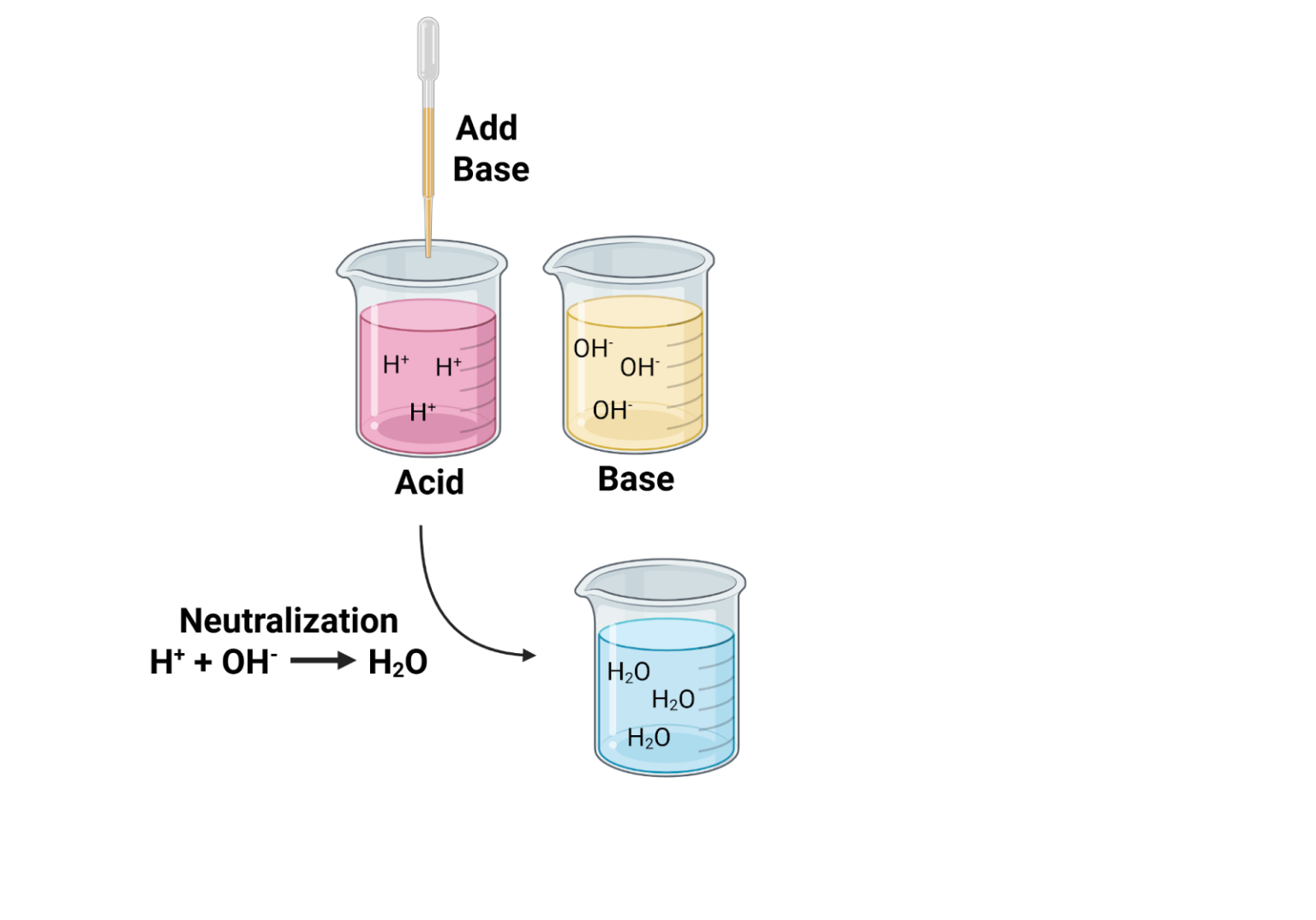 Neutralization of Acids/Bases – NC DNA Day Blog