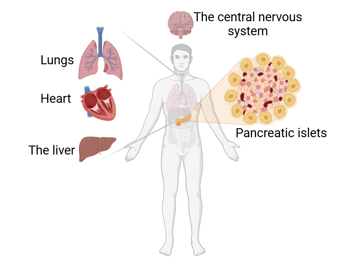 Coxsackievirus – NC DNA Day Blog